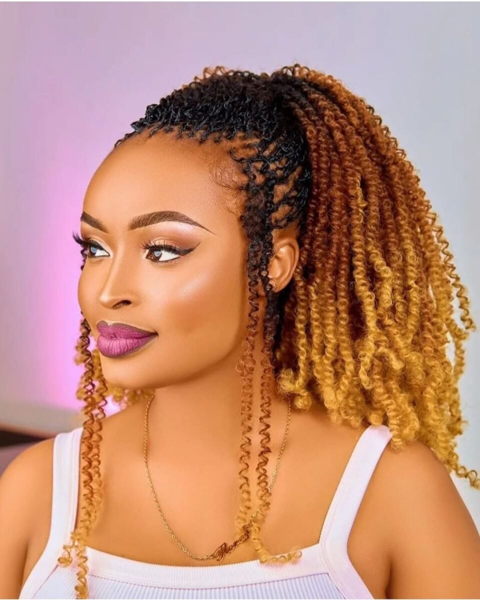 25 Twist Braids Hairstyles To Try Out In 2025