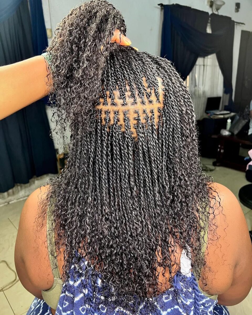 25 Twist Braids Hairstyles To Try Out In 2025